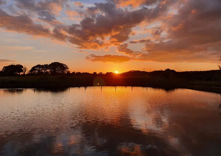 transgender crossdressing holiday